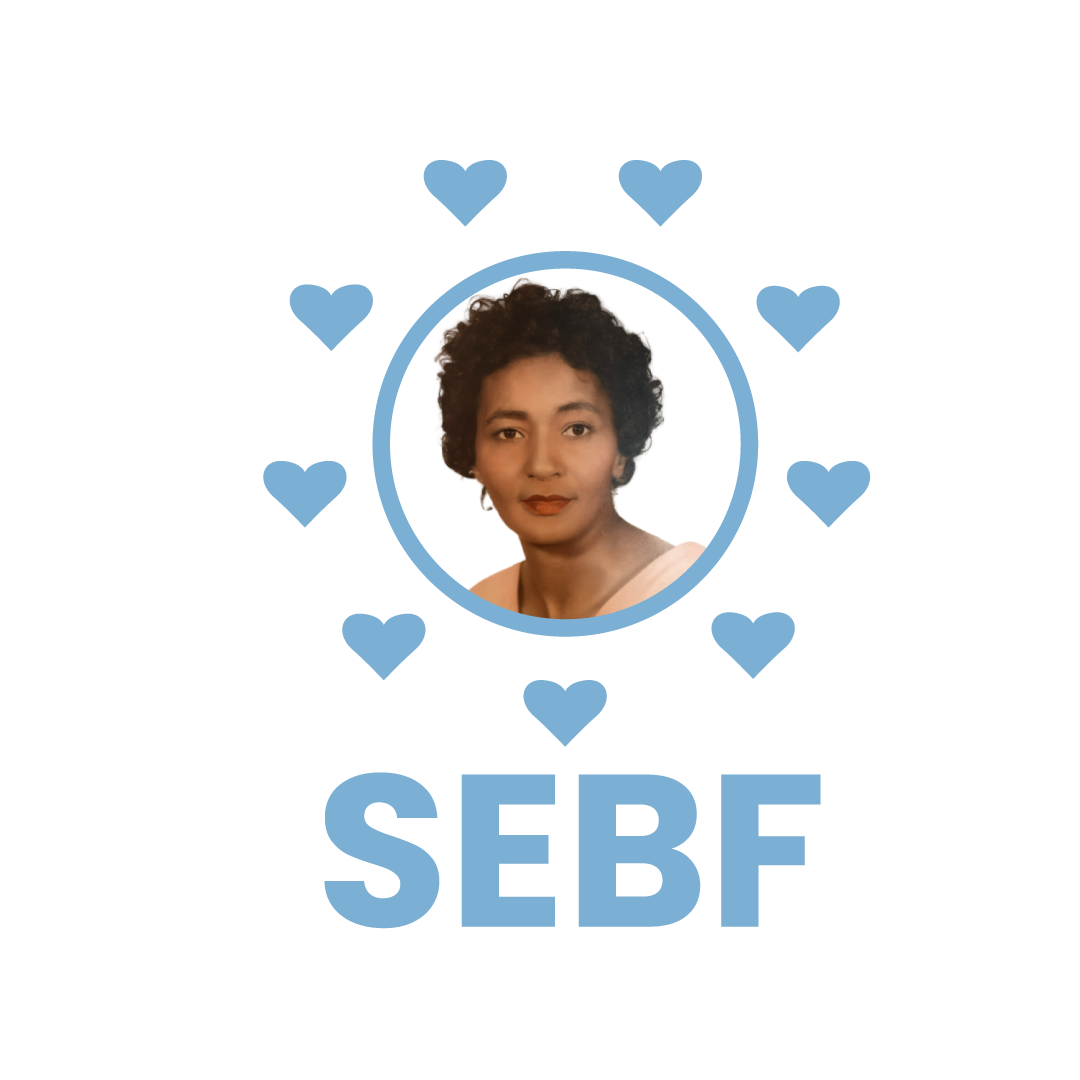 The SEBF Scholarship Application | The Susie E. Barnes Foundation